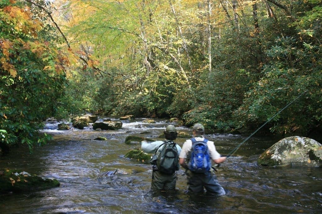 Great Smoky Mountains Fly Fishing: Wild Trout in America's Most Visited ...