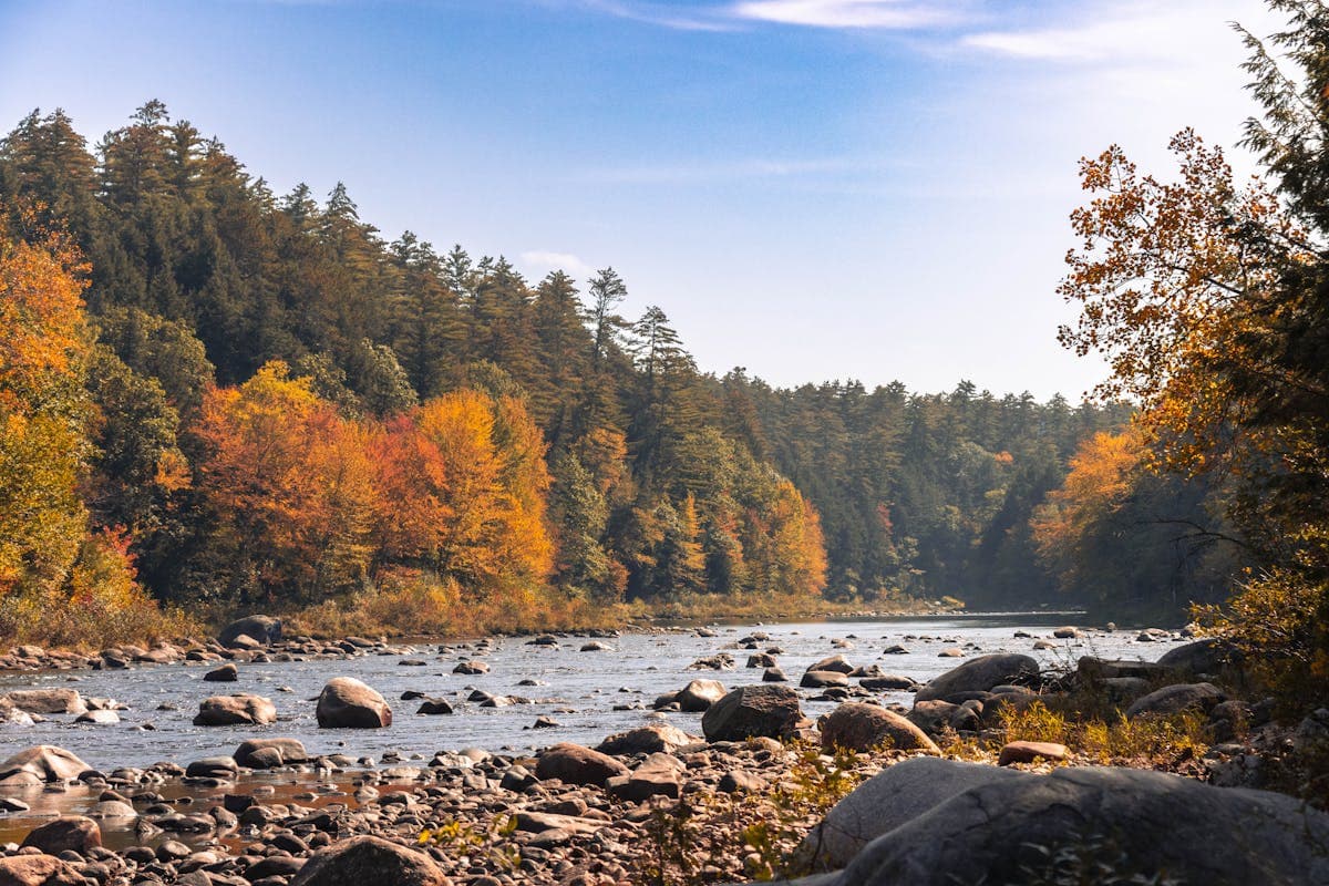 NH Trout Fishing: Season Dates, Rivers & Fly Fishing Report | River ...