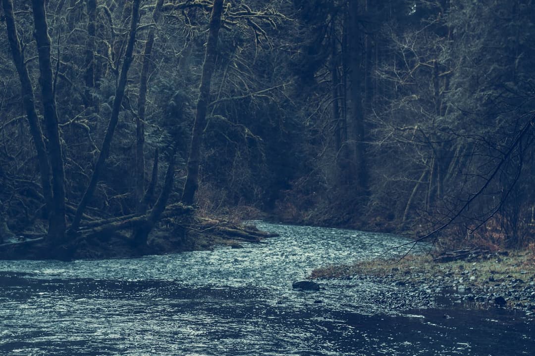 Cowlitz River Fishing Report: Steelhead & Salmon Flows | River Intel ...