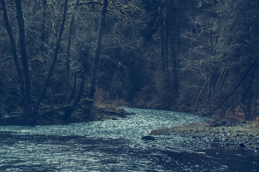 Cowlitz River Fishing Report: Steelhead & Salmon Flows | River Intel ...