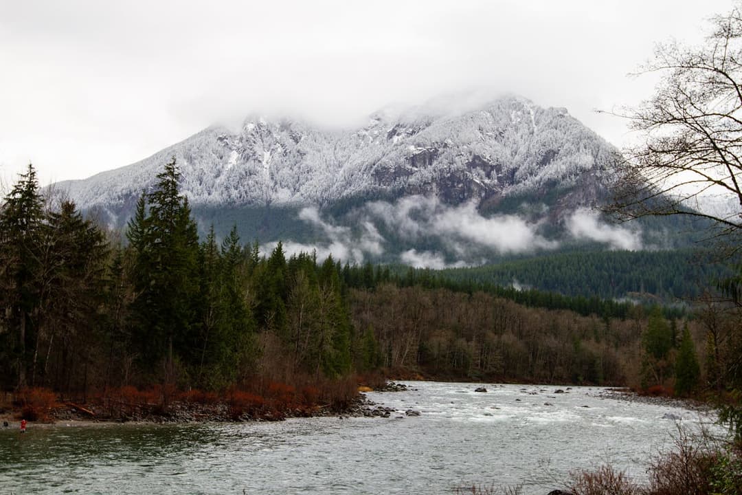 Cowlitz River Fishing Report: Steelhead & Salmon Flows | River Intel ...