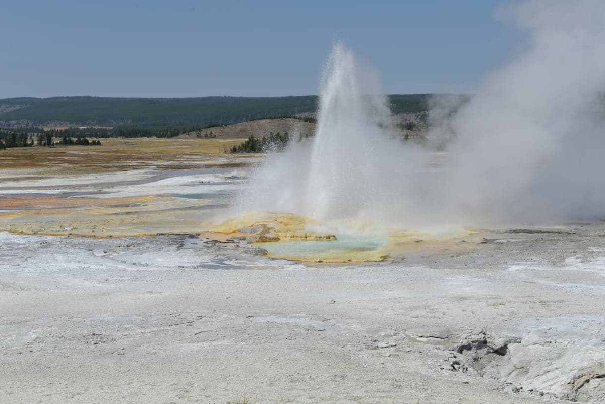Yellowstone National Park Fly Fishing Guide: Rivers, Hatches, and ...