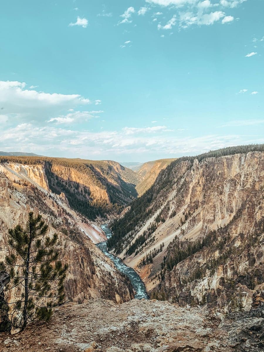 Yellowstone National Park Fly Fishing Guide: Rivers, Hatches, and ...