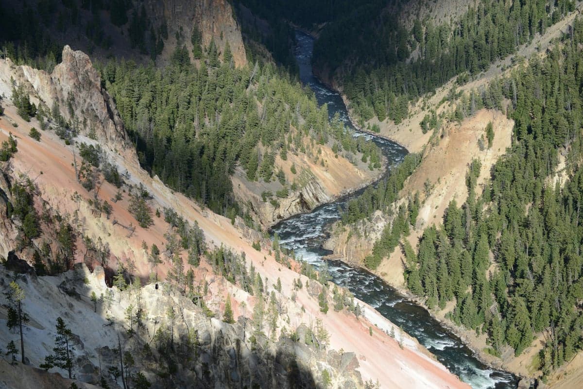 Yellowstone National Park Fly Fishing Guide: Rivers, Hatches, and ...