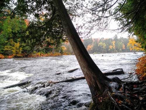 RiverReports | Real-Time River Flows & Fishing Reports for 500+ Rivers ...